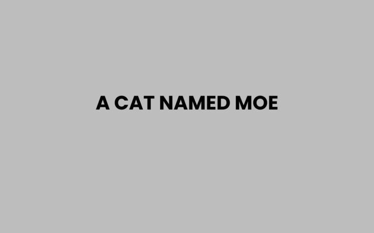 A Cat Named Moe: Charming Stories and Cute Moments