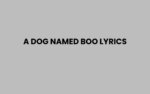 A Dog Named Boo Lyrics – Full Song Words Explained