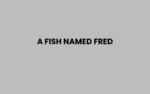 A Fish Named Fred: Unique Men's Fashion with Flair