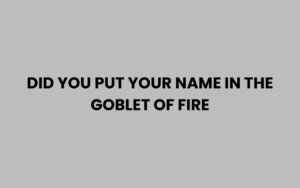 Did You Put Your Name in the Goblet of Fire Explained
