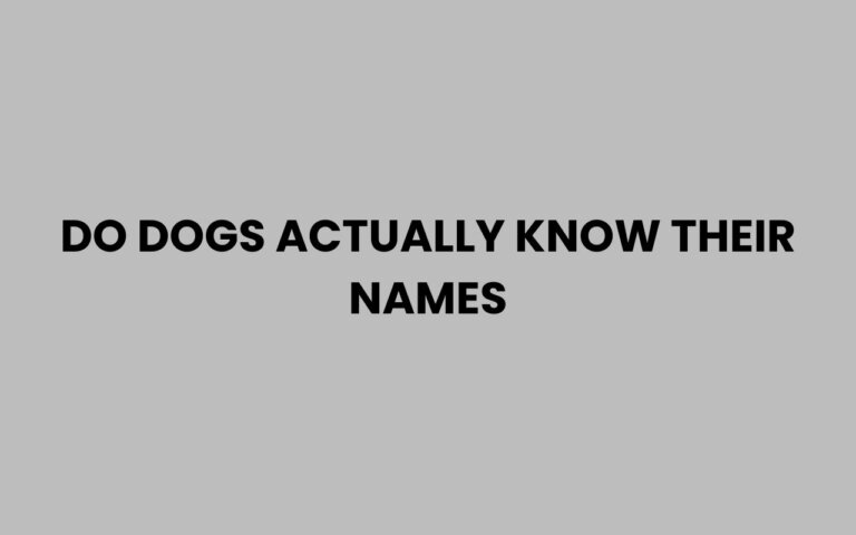 Do Dogs Actually Know Their Names? Understanding Your Pet