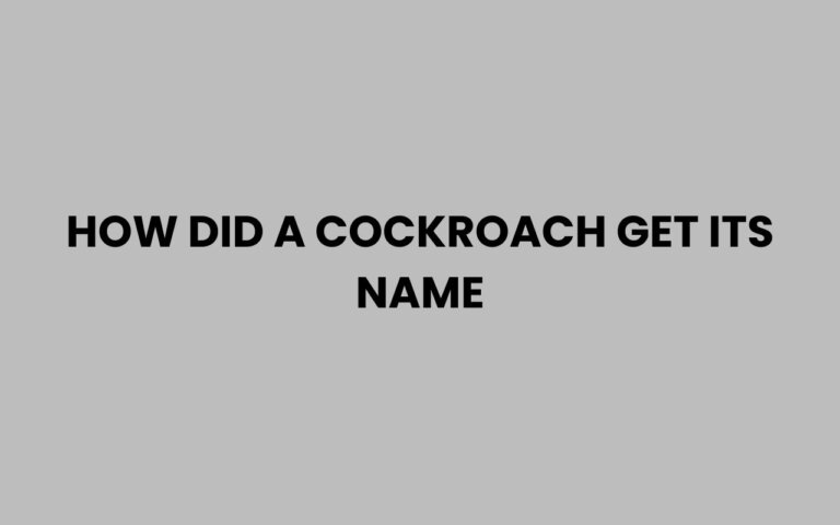 How Did a Cockroach Get Its Name? Origins Explained
