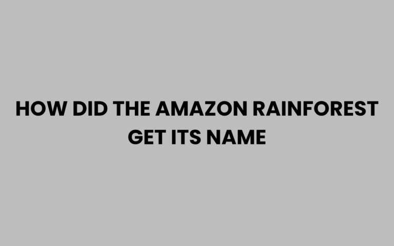 How Did the Amazon Rainforest Get Its Name Explained