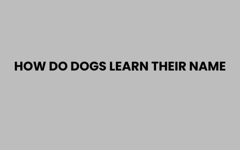 How Do Dogs Learn Their Name? Tips for Fast Recognition