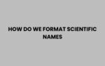 How Do We Format Scientific Names Correctly?
