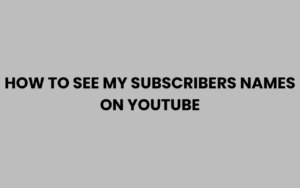 How to See My Subscribers Names on YouTube Easily