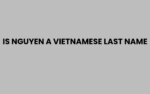 Is Nguyen a Vietnamese Last Name? Meaning and Origins