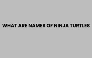 What Are Names of Ninja Turtles? Meet the Iconic Four