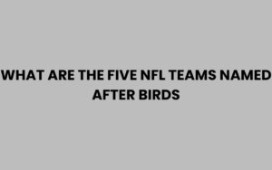 What Are the Five NFL Teams Named After Birds Explained