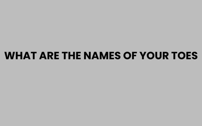 What Are the Names of Your Toes? Toe Names Explained