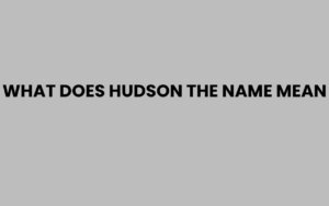 What Does Hudson The Name Mean? Origins & Popularity Explained