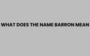 What Does the Name Barron Mean? Origins and Significance