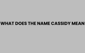 What Does the Name Cassidy Mean? Origins and Traits Explained