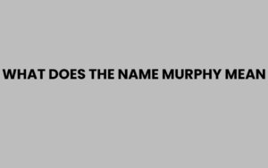 What Does the Name Murphy Mean? Origins and Significance