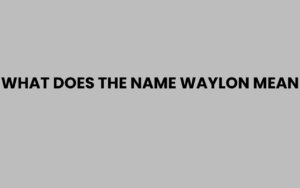 What Does the Name Waylon Mean? Origins and Significance