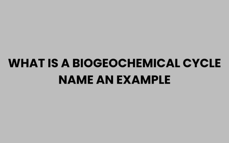 What Is a Biogeochemical Cycle? Name an Example Here