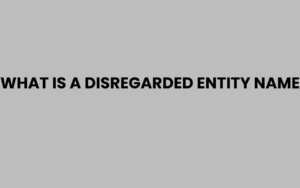 What Is a Disregarded Entity Name and Why It Matters