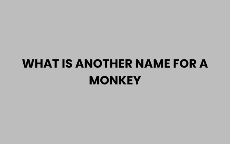What Is Another Name for a Monkey? Fun Synonyms Explained