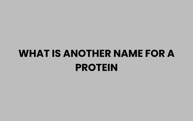 What Is Another Name for a Protein? Common Terms Explained