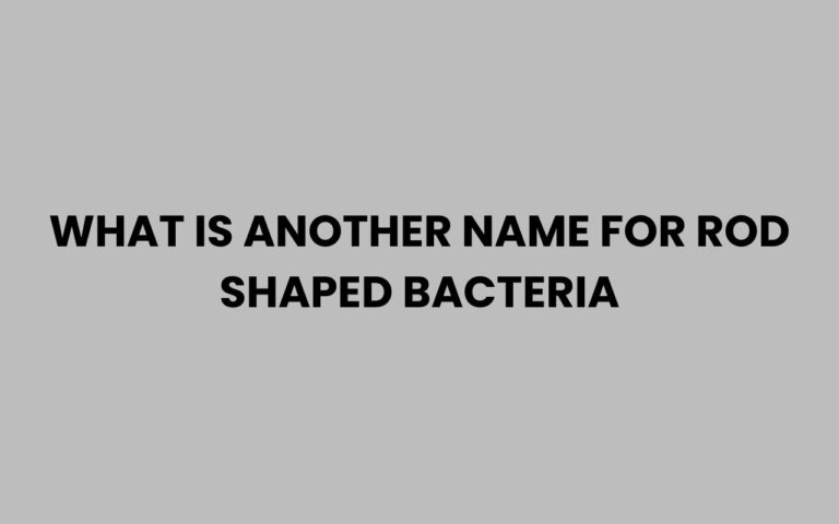 What Is Another Name for Rod Shaped Bacteria? Find Out