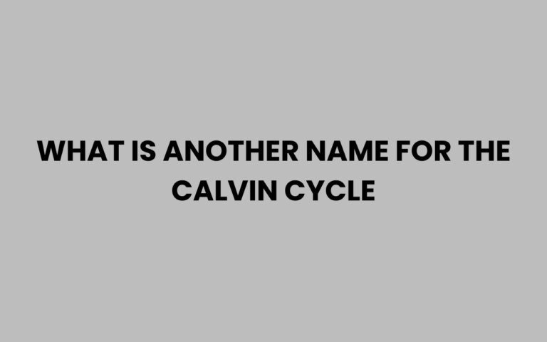 What Is Another Name for the Calvin Cycle? Explained Simply