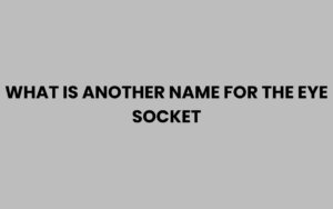 What Is Another Name for the Eye Socket? Explained Simply