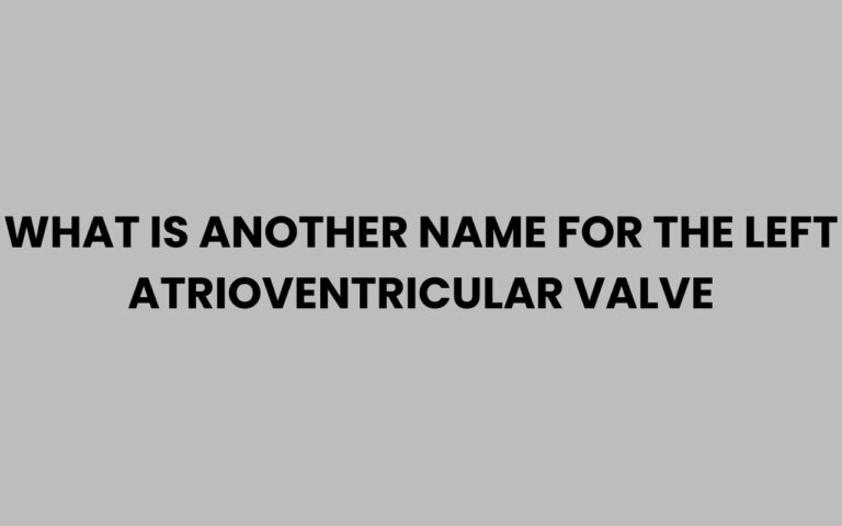 What Is Another Name for the Left Atrioventricular Valve Explained