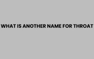 What Is Another Name for Throat? Common Terms Explained