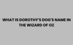What Is Dorothy's Dog's Name in The Wizard of Oz? Find Out