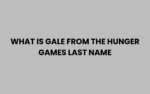 What is Gale from The Hunger Games Last Name Explained