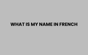 What Is My Name in French? Easy Translation Guide