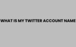 What Is My Twitter Account Name and How to Find It