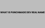 What is Punchmade Dev Real Name? Uncover the Truth