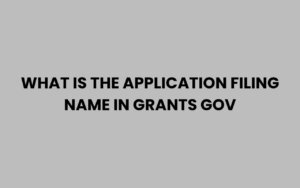 What Is the Application Filing Name in Grants.gov Explained