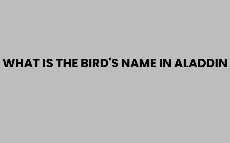 What is the Bird's Name in Aladdin? Character Explained