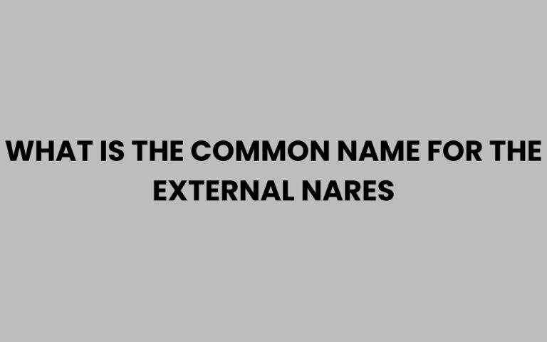 What is the Common Name for the External Nares Explained