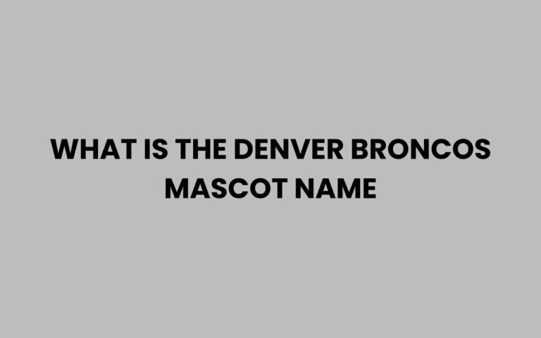 What Is the Denver Broncos Mascot Name and Story?