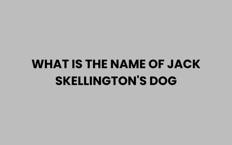 What Is the Name of Jack Skellington’s Dog Explained