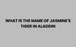 What is the Name of Jasmine's Tiger in Aladdin? Find Out