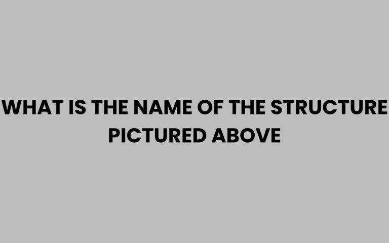 What Is the Name of the Structure Pictured Above Explained