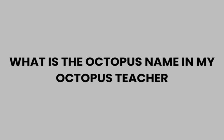 What is the Octopus Name in My Octopus Teacher?