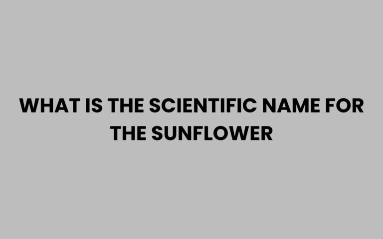 What Is the Scientific Name for the Sunflower Explained