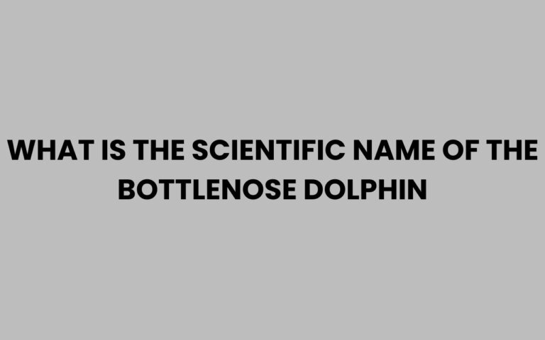What Is the Scientific Name of the Bottlenose Dolphin Explained