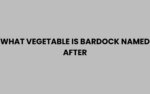 What Vegetable Is Bardock Named After? Find Out Here