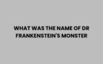 What Was the Name of Dr Frankenstein's Monster Explained