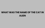 What Was the Name of the Cat in Alien Explained