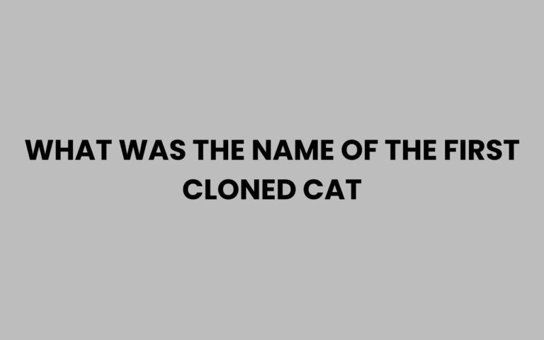 What Was the Name of the First Cloned Cat? Find Out Here