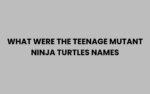 What Were the Teenage Mutant Ninja Turtles Names?