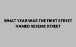 What Year Was the First Street Named Sesame Street?