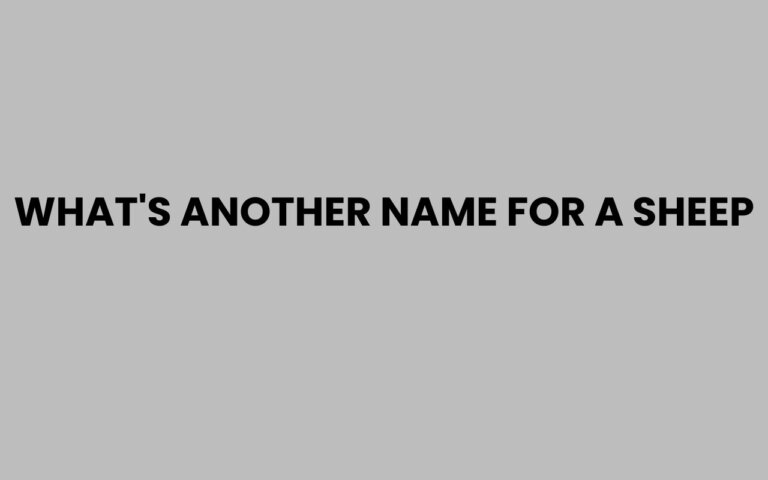 What's Another Name for a Sheep? Common Synonyms Explained